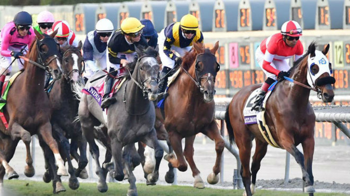 Las carreras regresarán a San Sebastián el 3 de junio