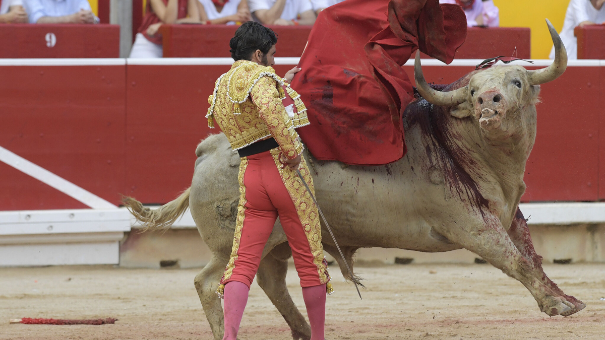 Toros de San Fermín 2025 del 8 de julio: quién torea hoy, ganadería ...