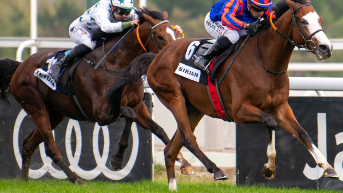 'Sirjan' ganó en el Memorial Duque de Toledo: ¡Que viva el turf!