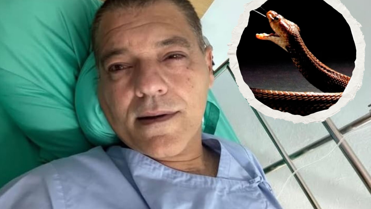 Así es el veneno de la cobra escupidora, la especie que ha ...