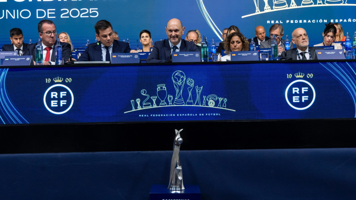 La RFEF cierra el 2024 con un récord de ingresos en la Asamblea General ...