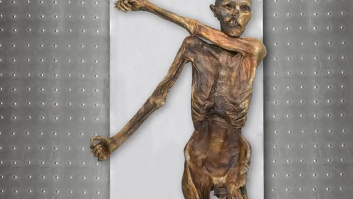 El misterio de la momia Ötzi: lleva muerto 5.300 años, pero numerosos ...