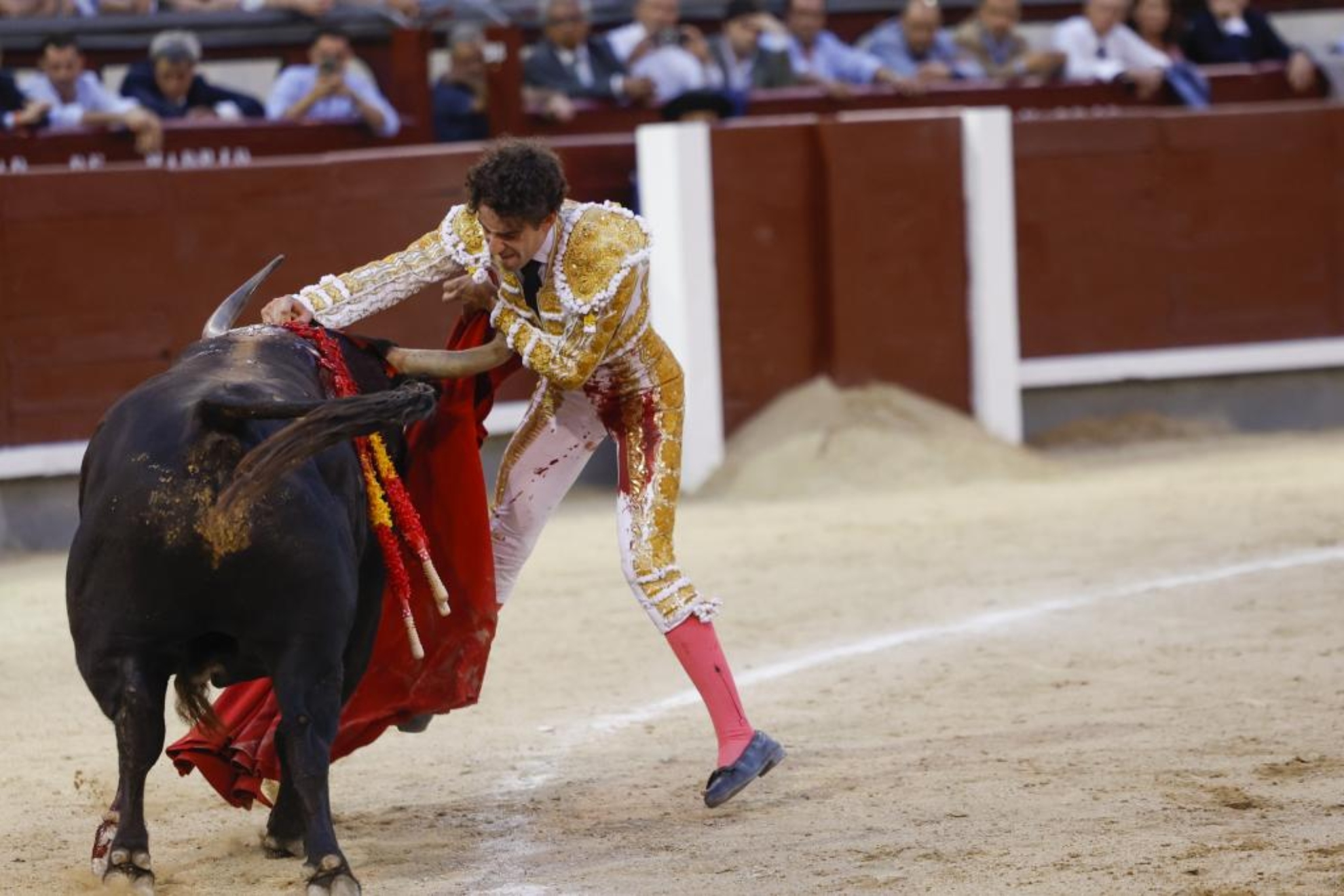 ¡Cómo está el campo bravo!