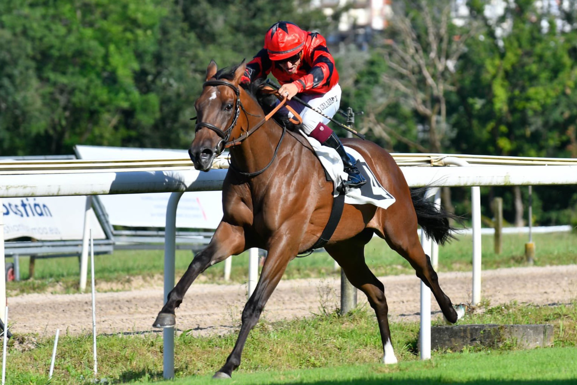 Sir Edward vuela en San Sebastián