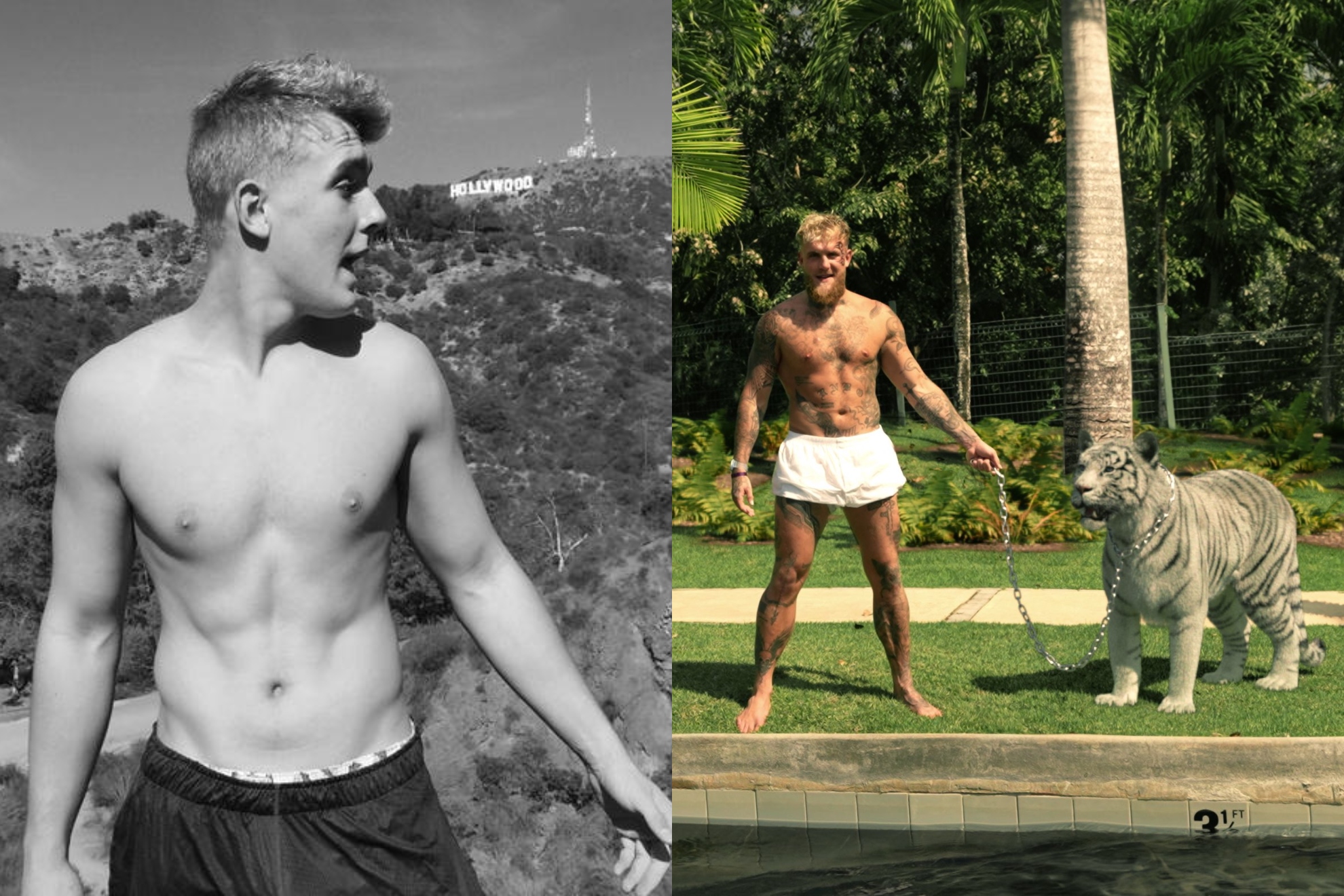 El ascenso de Jake Paul: de youtuber millonario a ganar a Mike Tyson ...