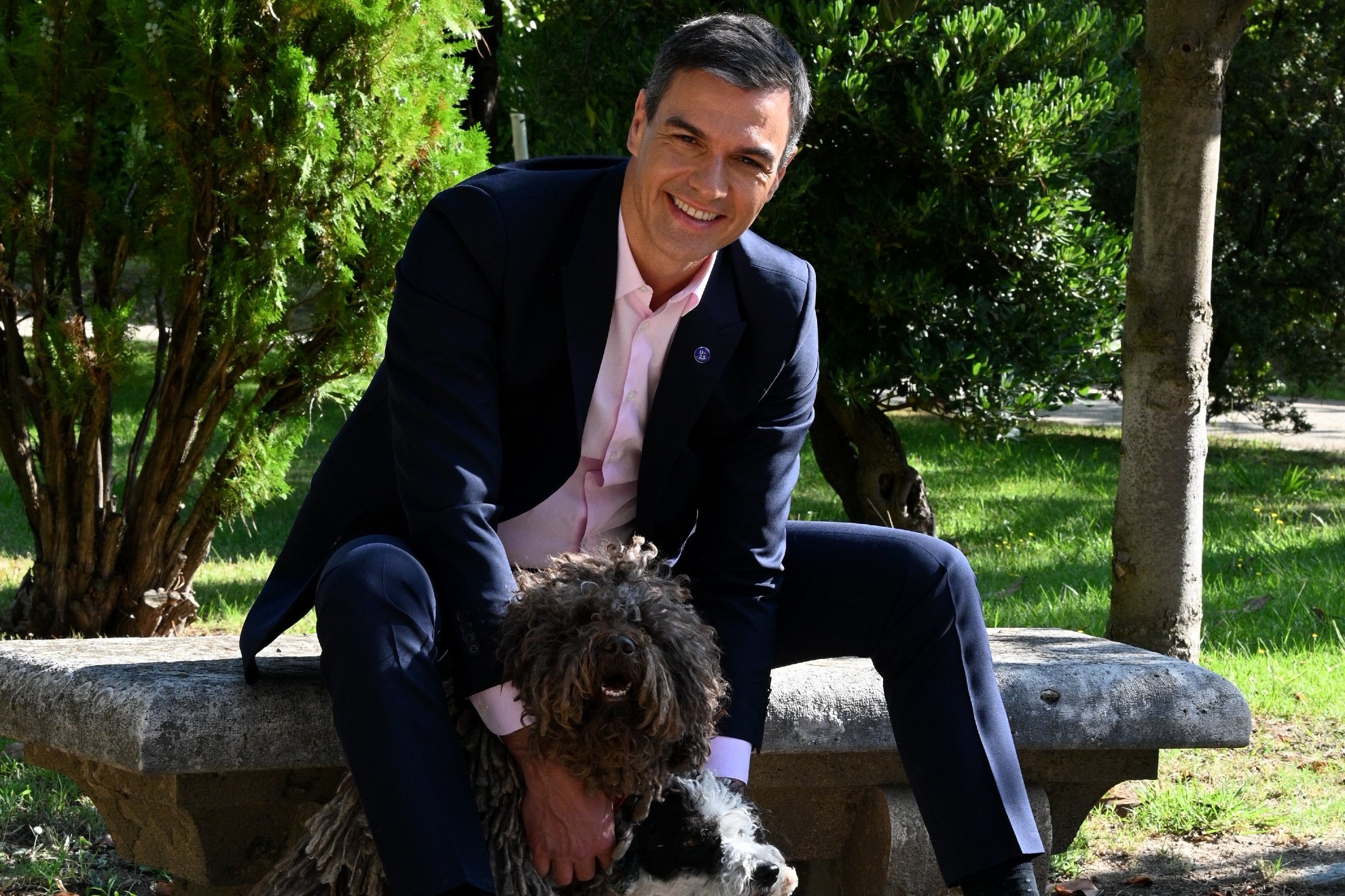 El PSOE tira de humor en redes sociales: "Más sabe el perro sanxe por perro que por sanxe"