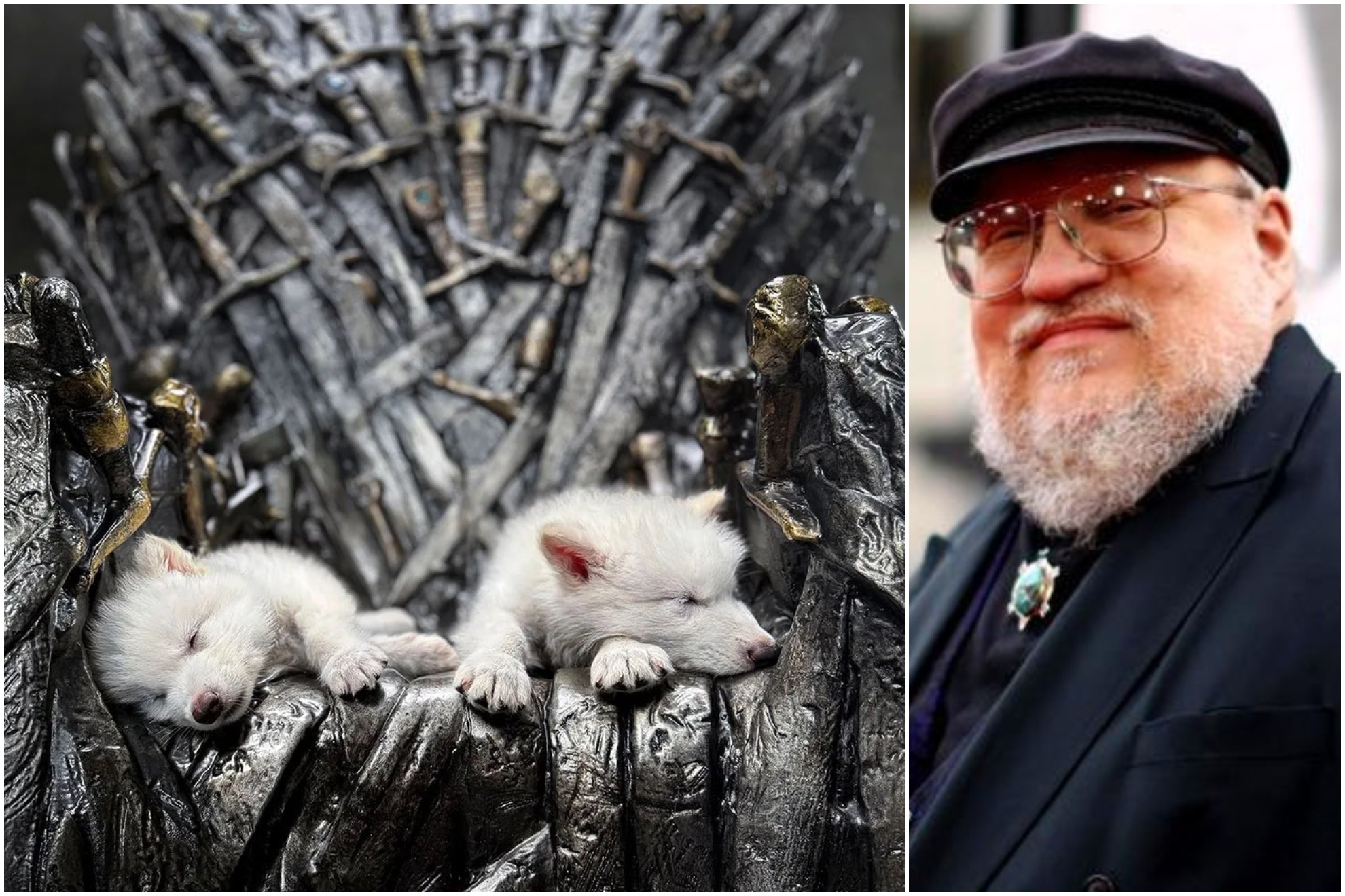 Juego de clones: el papel de George RR Martin en el renacer del lobo huargo