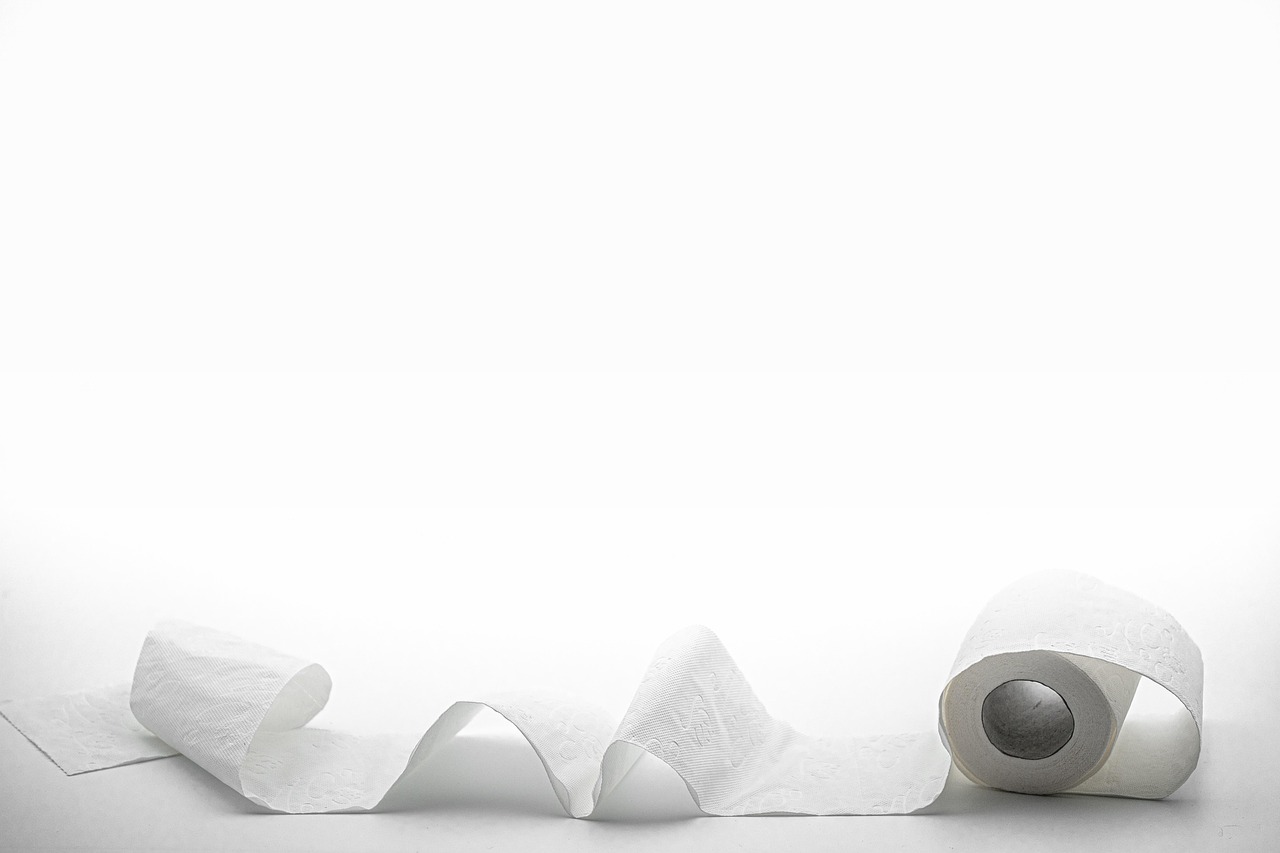 ¿Se puede vivir sin papel higiénico? Ventajas y desventajas de este ...