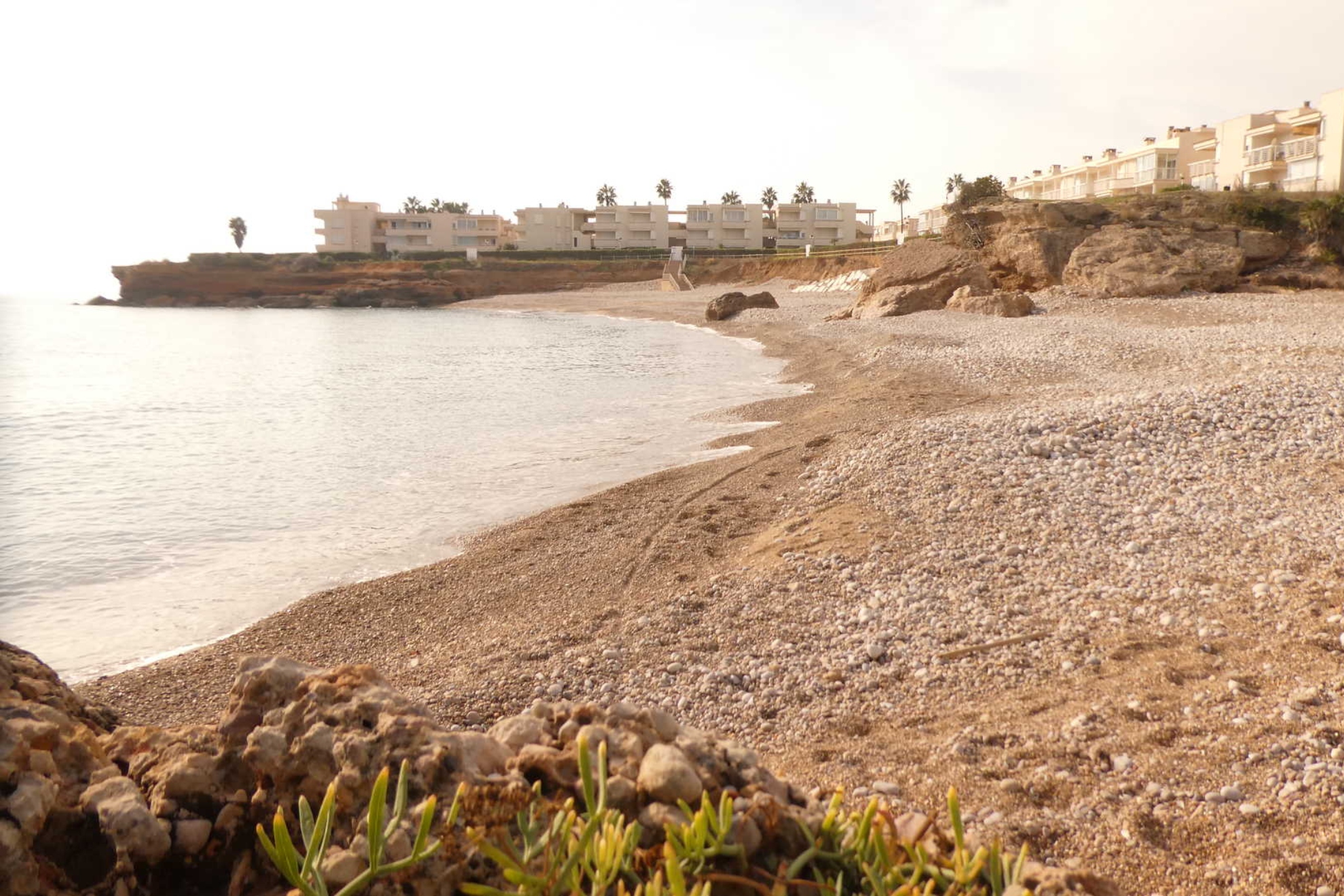 Ni La Renegà ni Aiguadoliva, la cala de arena, grava, palmeras y aguas ...