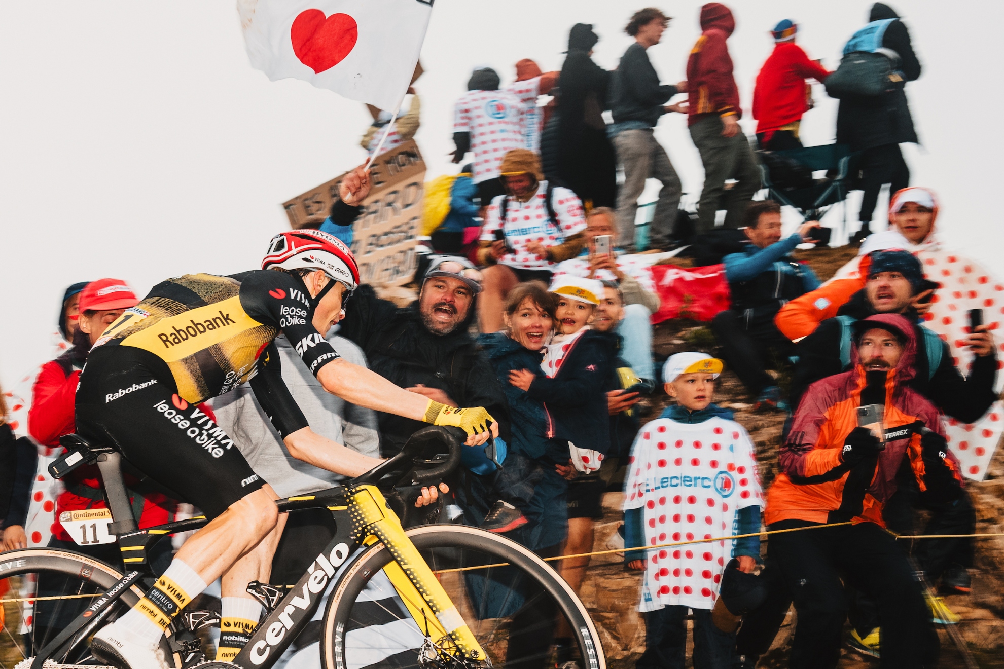 La etapa 19 del Tour se recorta por un brote veterinario en el Col des ...