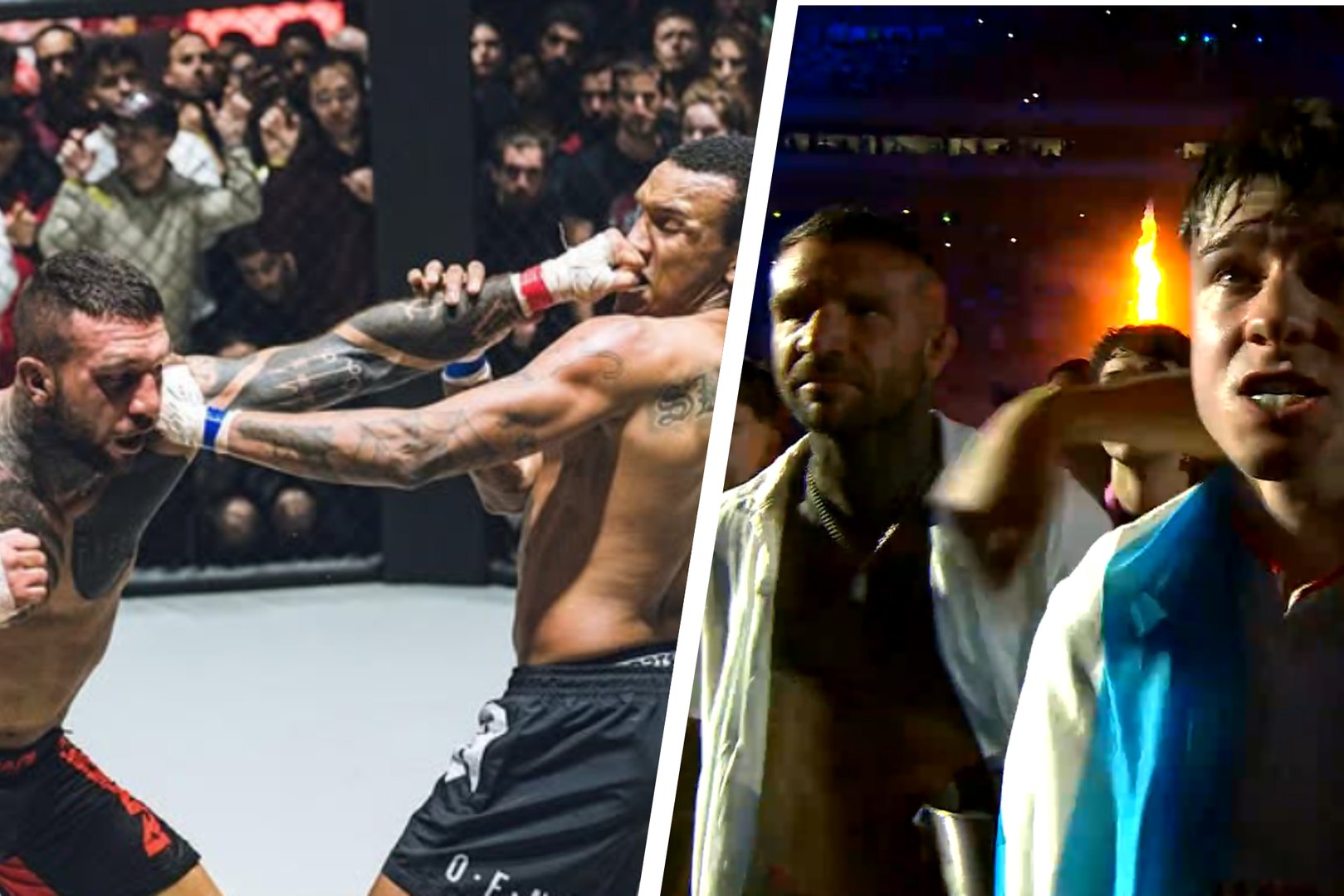 Dogfight Wild Tournament - Últimas noticias de Dogfight Wild Tournament