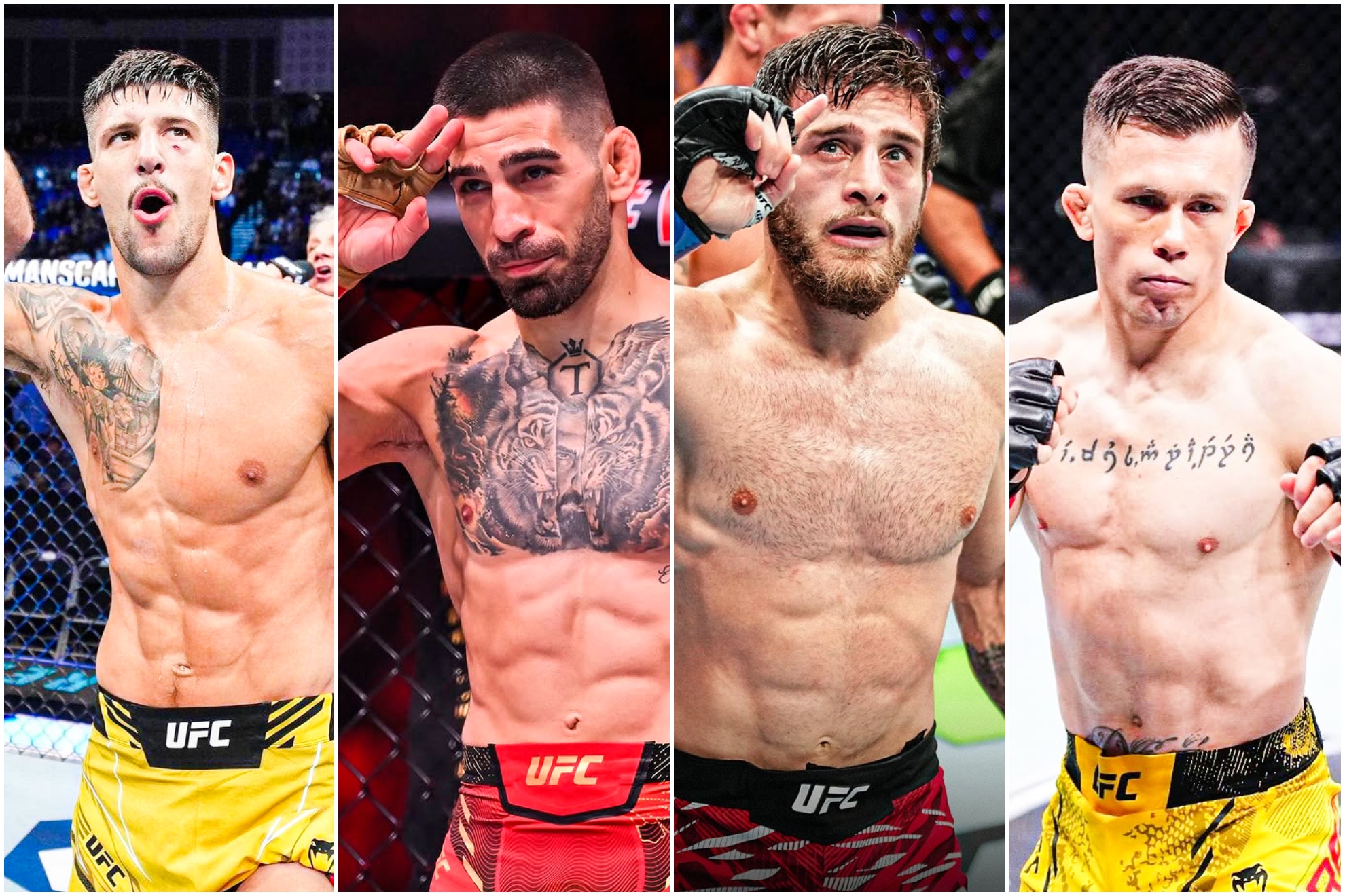 Así está el futuro de los españoles en UFC: un posible fichaje... y ...