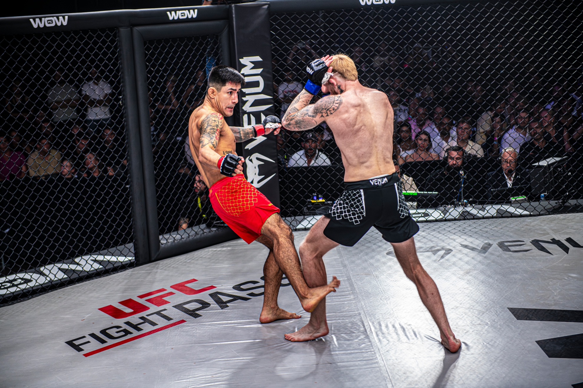 El ‘bombazo’ de Alexis Vera en WOW: dos años sin pelear, tres días de ...