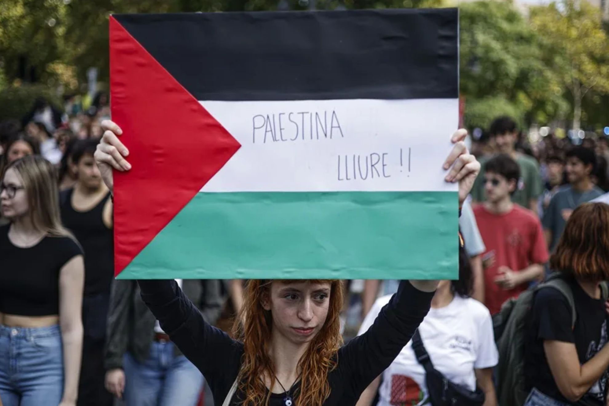 La Ley Orgánica de Educación lo confirma: tus profesores no tienen ...