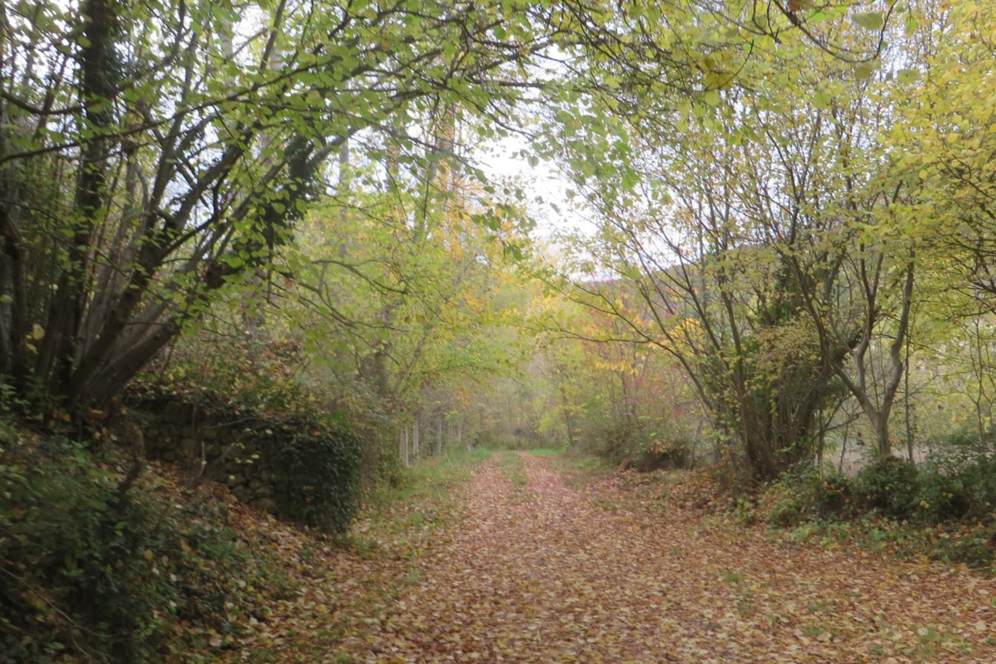 Senderismo solo para expertos: la ruta de Burgos que posee los tramos ...