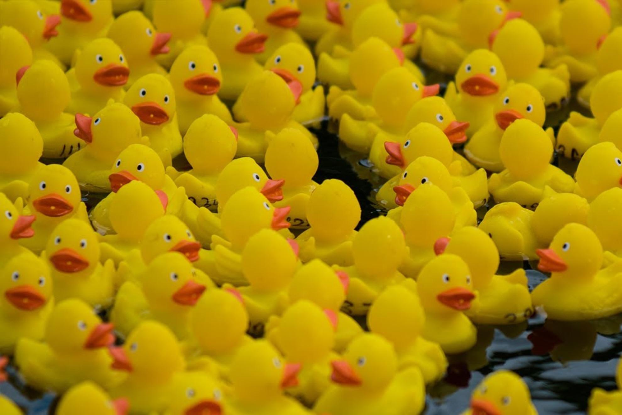 Muere el creador del icónico patito de goma del sello 'Made in Hong Kong'