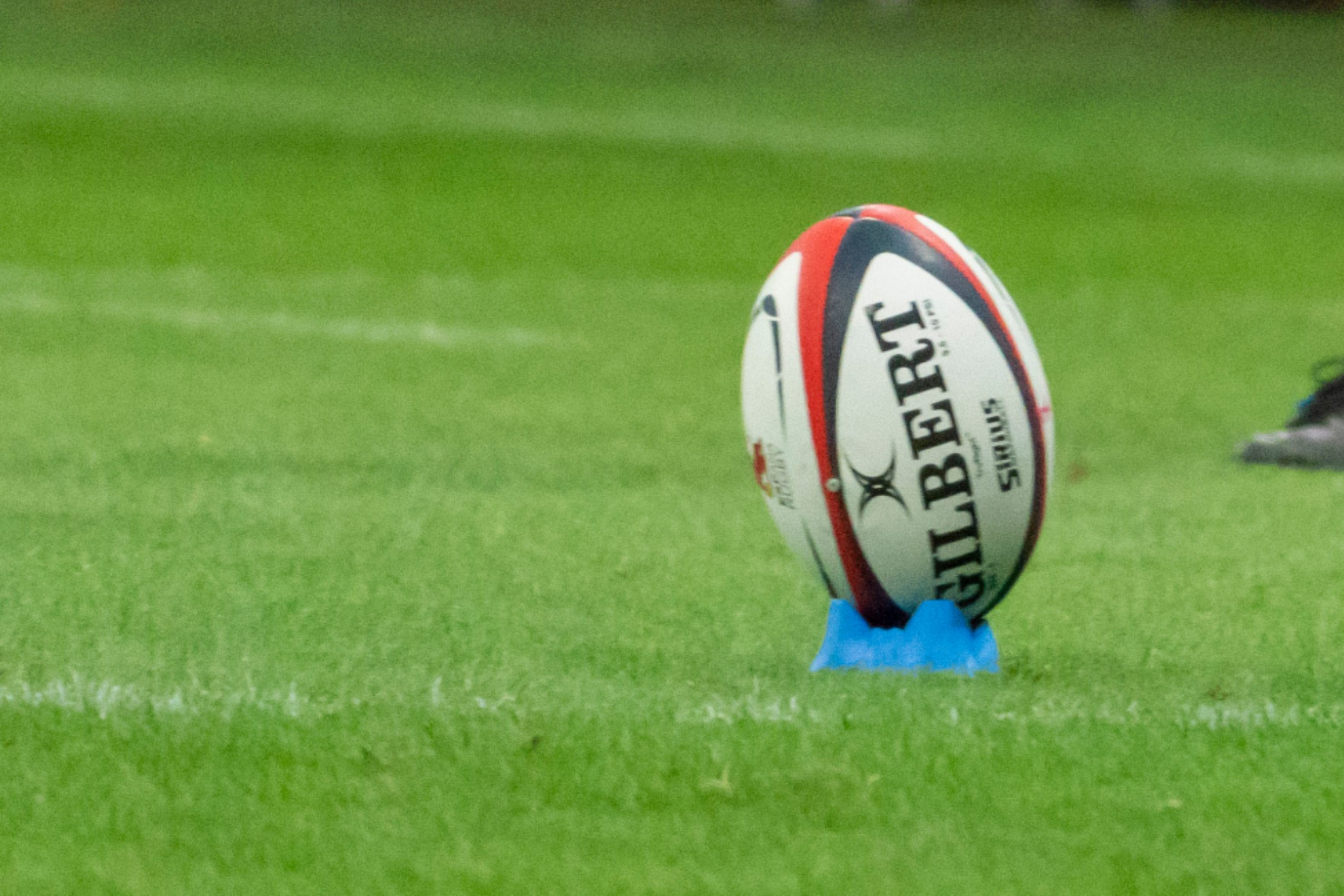 Rugby - Últimas noticias de rugby español y mundial | MARCA