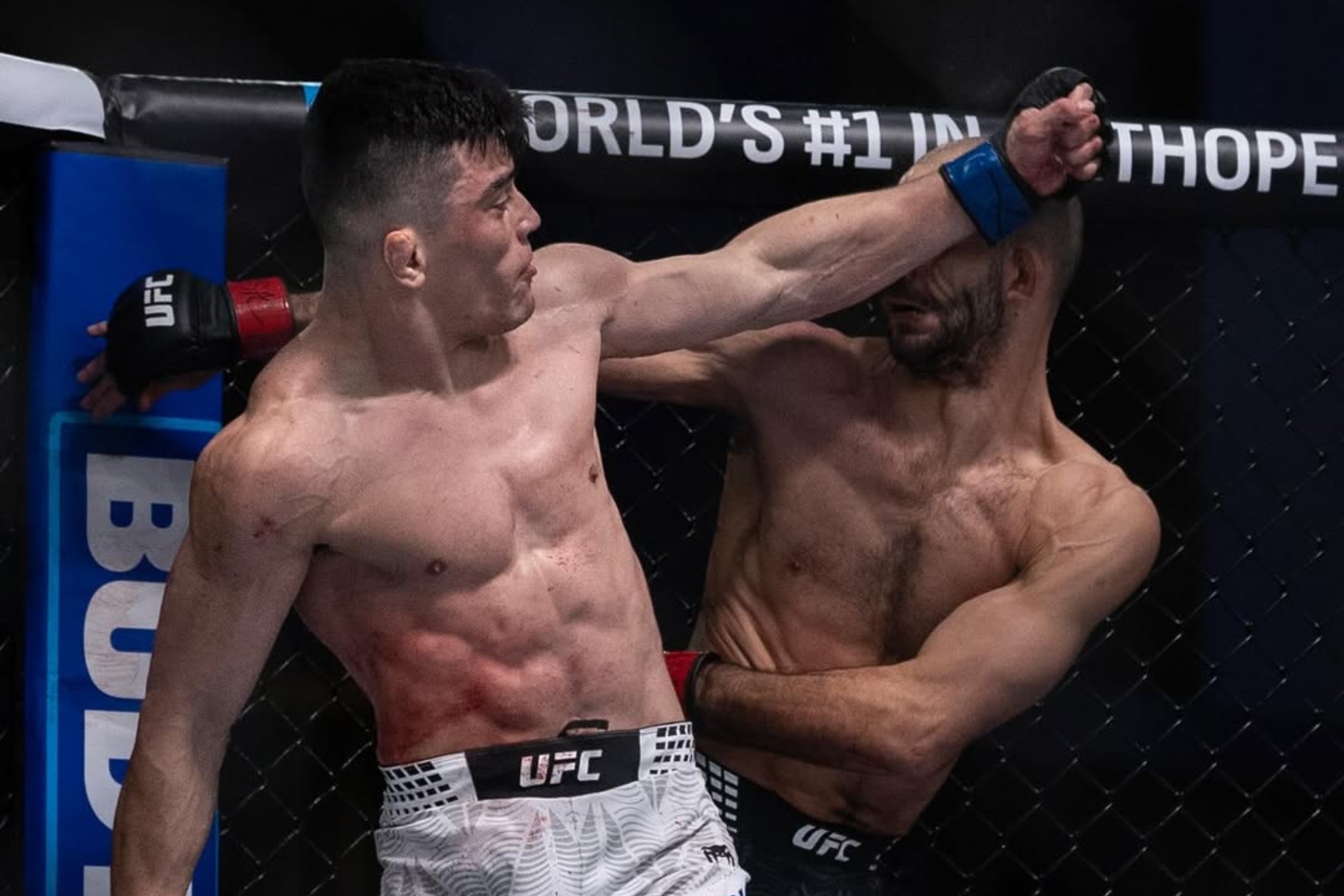 Otro K.O. increíble de Kevin Vallejos, 'El Topuria Argentino' de la UFC