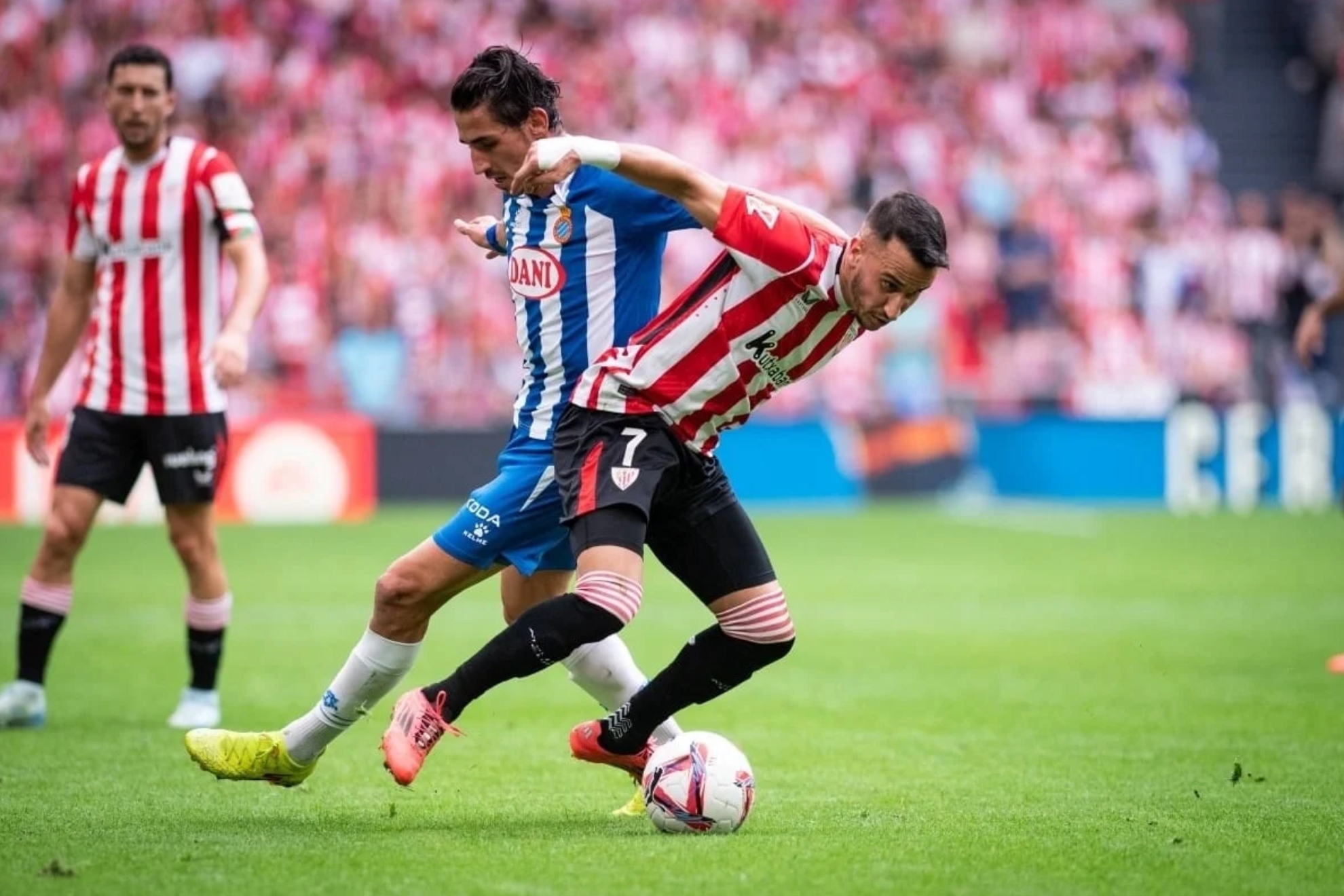 Espanyol - Últimas noticias | MARCA