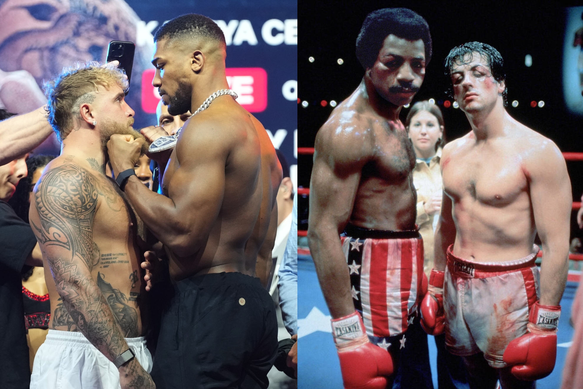 Boxeo - Últimas noticias de los boxeadores del momento | MARCA