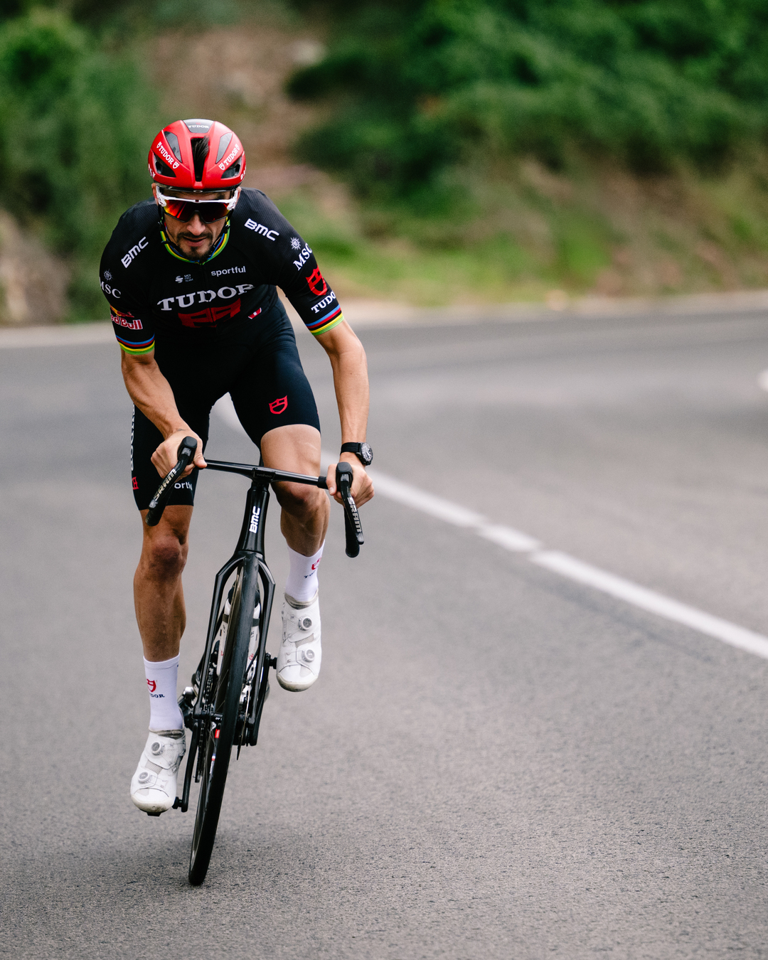 Alaphilippe: "La evolución de Tudor es increíble, no le veo techo"
