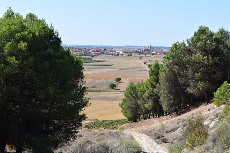 Bodegas excavadas en la roca y la preciosa ribera del Pisuerga: un ...