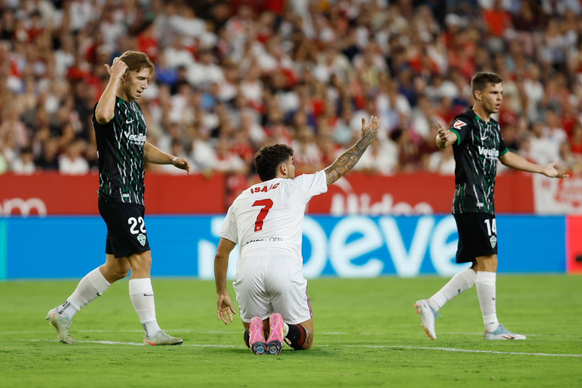 Elche - Últimas noticias | MARCA