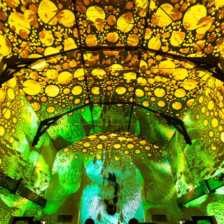 ‘Flow’, un espectacular show inmersivo de luces y sonido, llega a Madrid
