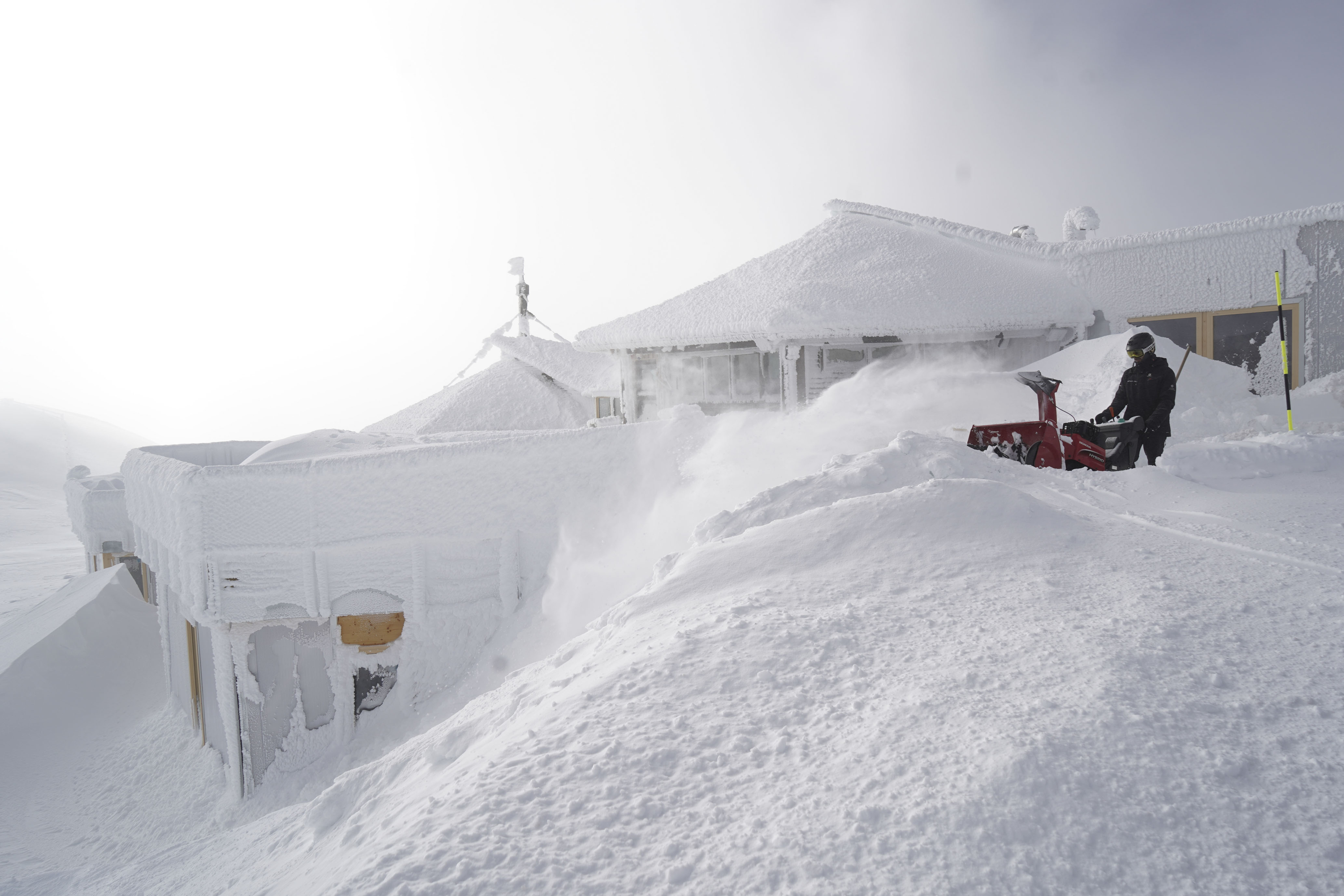El renovado refugio Niu de l’Àliga, epicentro del gran esquí en La Molina