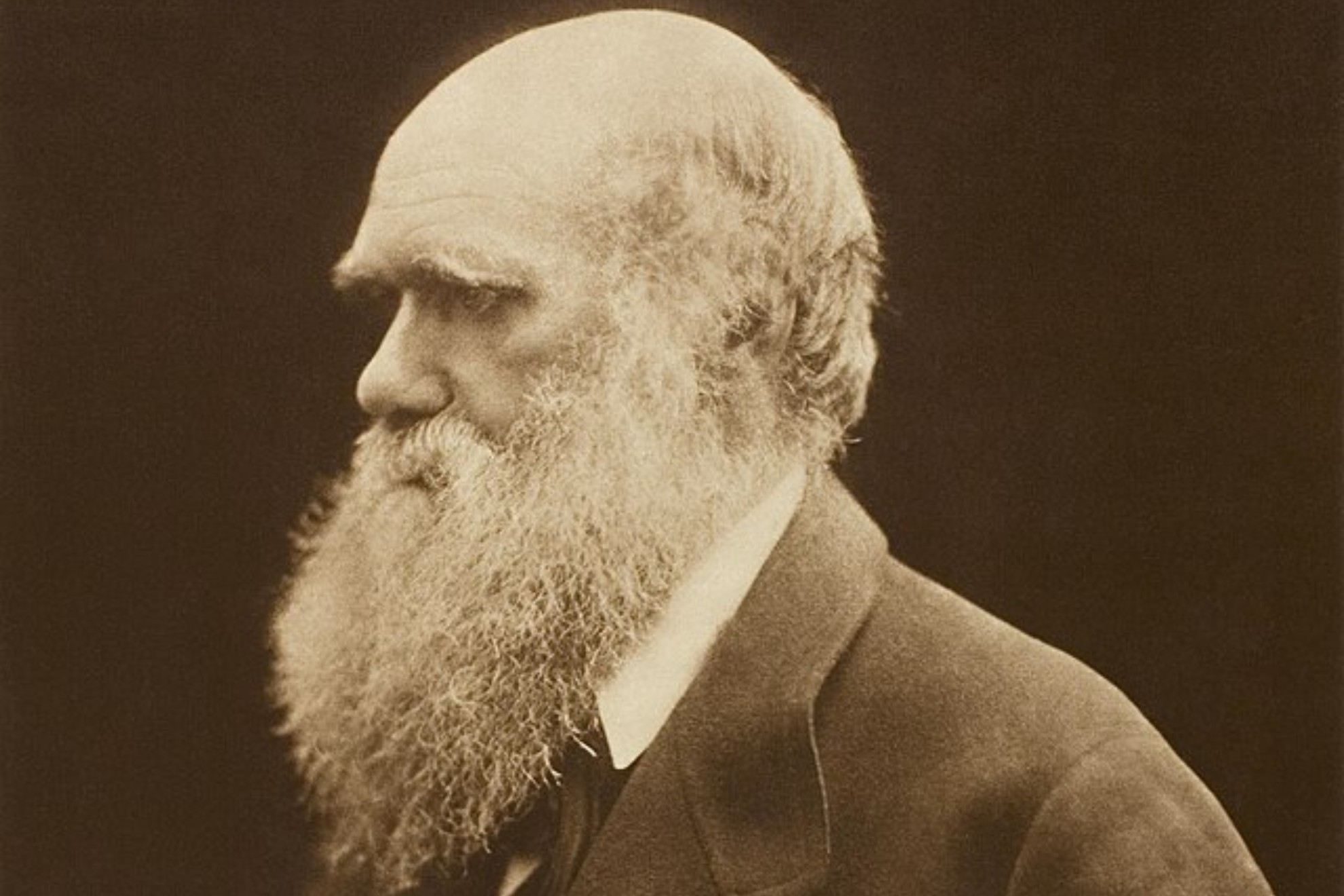 La vida desconocida de Darwin: cómo una pérdida personal le llevó a ...