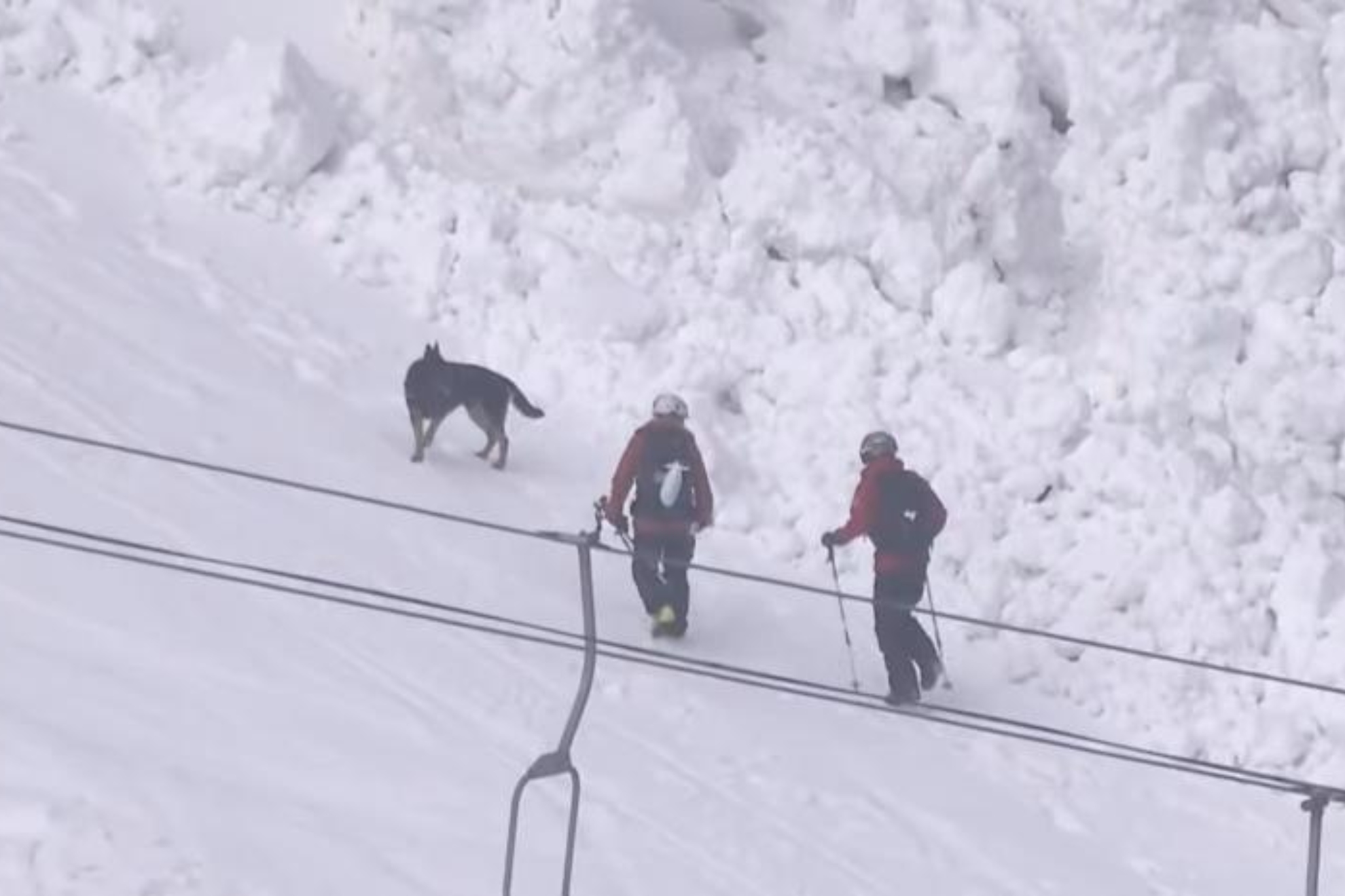 Avalancha descomunal en Madarao: cinco esquiadores atrapados y cuatro ...