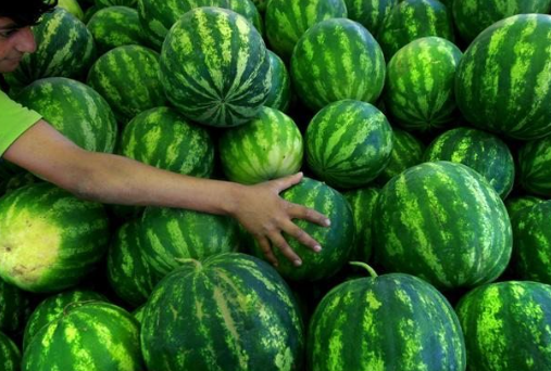 Un estudio recomienda comer sandía antes de dormir: estos son todos los ...