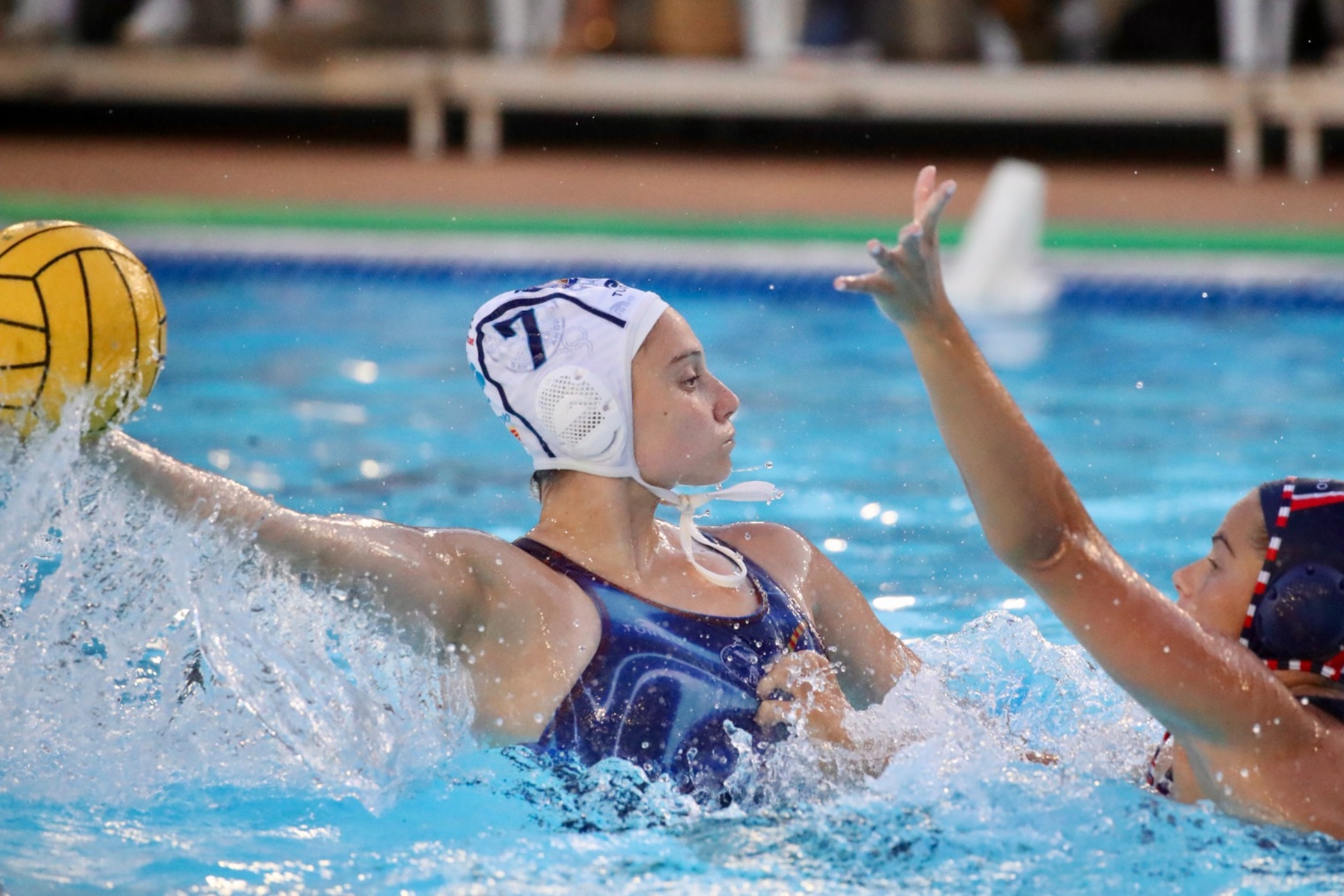 natación - Últimas noticias de natación